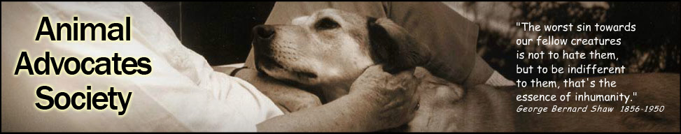 Animal Advocates BC | Cat Rescue